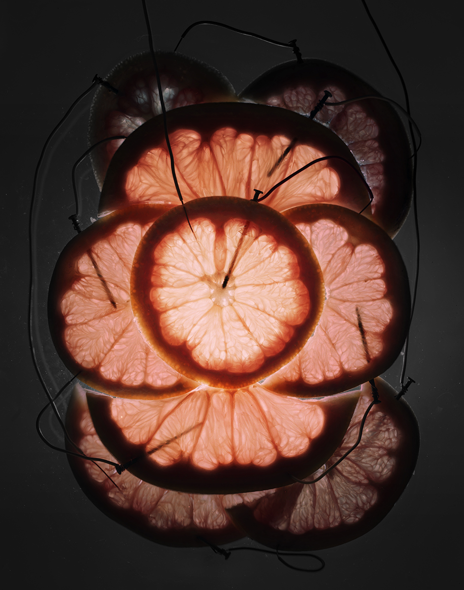 Grapefruit and Pomelo Battery